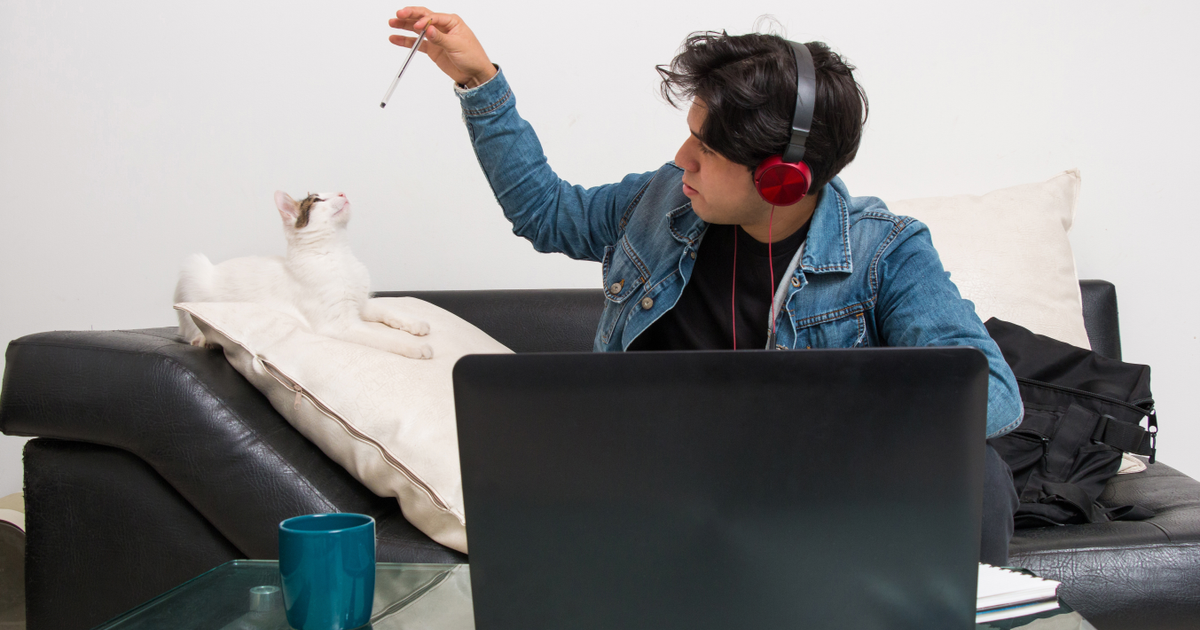 Techniques to Help You Avoid Distractions While Studying | House of Math