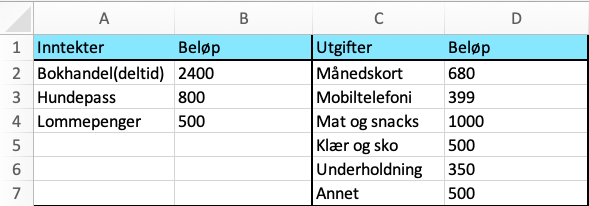 Hvordan sette opp budsjett i Excel | House of Math